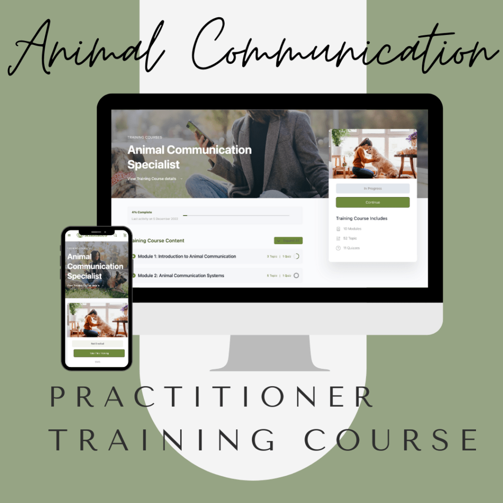 Animal Communication Specialist Training Course - Scholistico