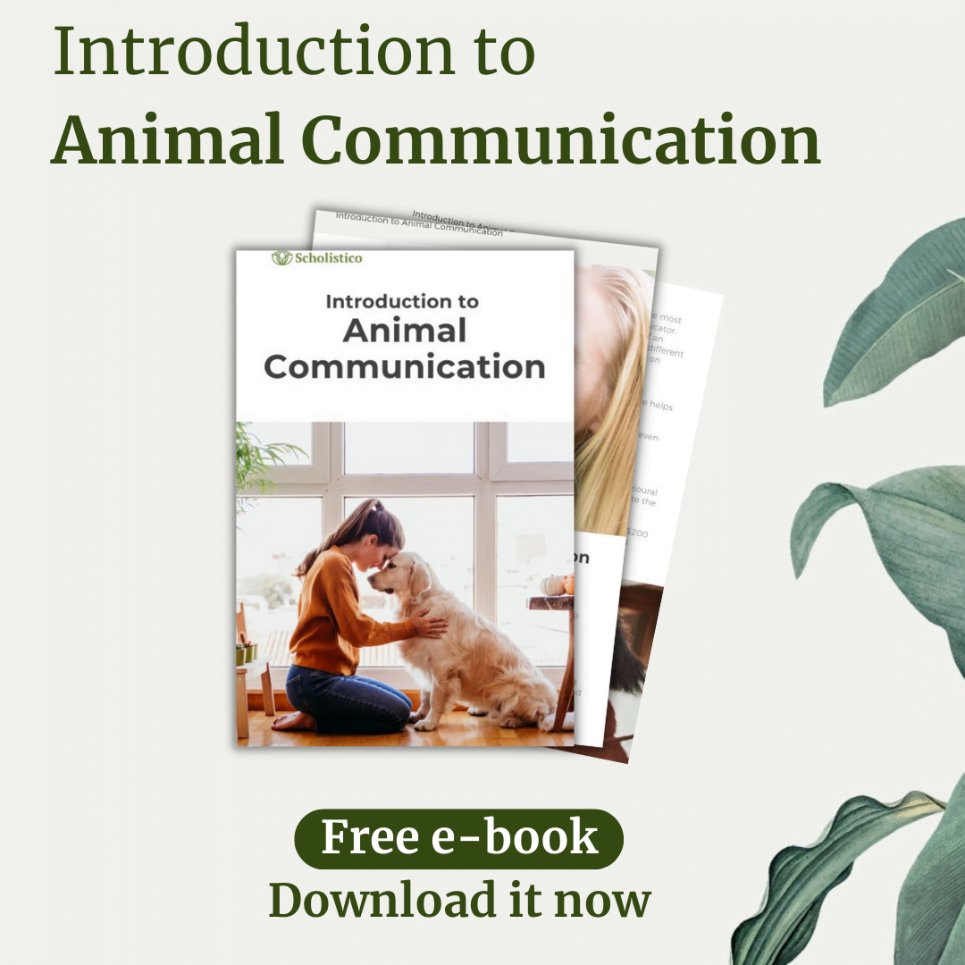 Introduction to animal communication - Scholistico
