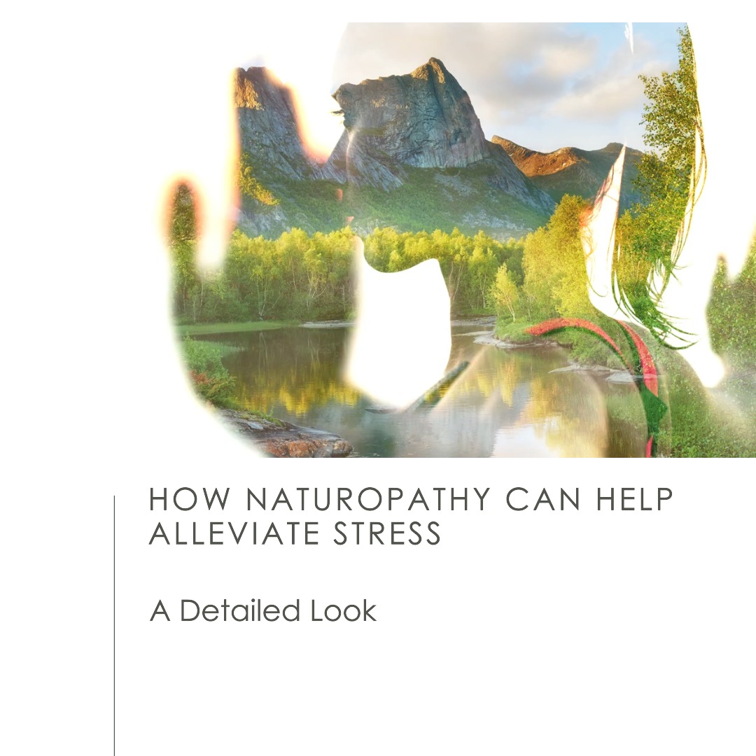 A Beginner's Guide to Naturopathy: What You Need to Know