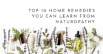 A Beginner's Guide to Naturopathy: What You Need to Know