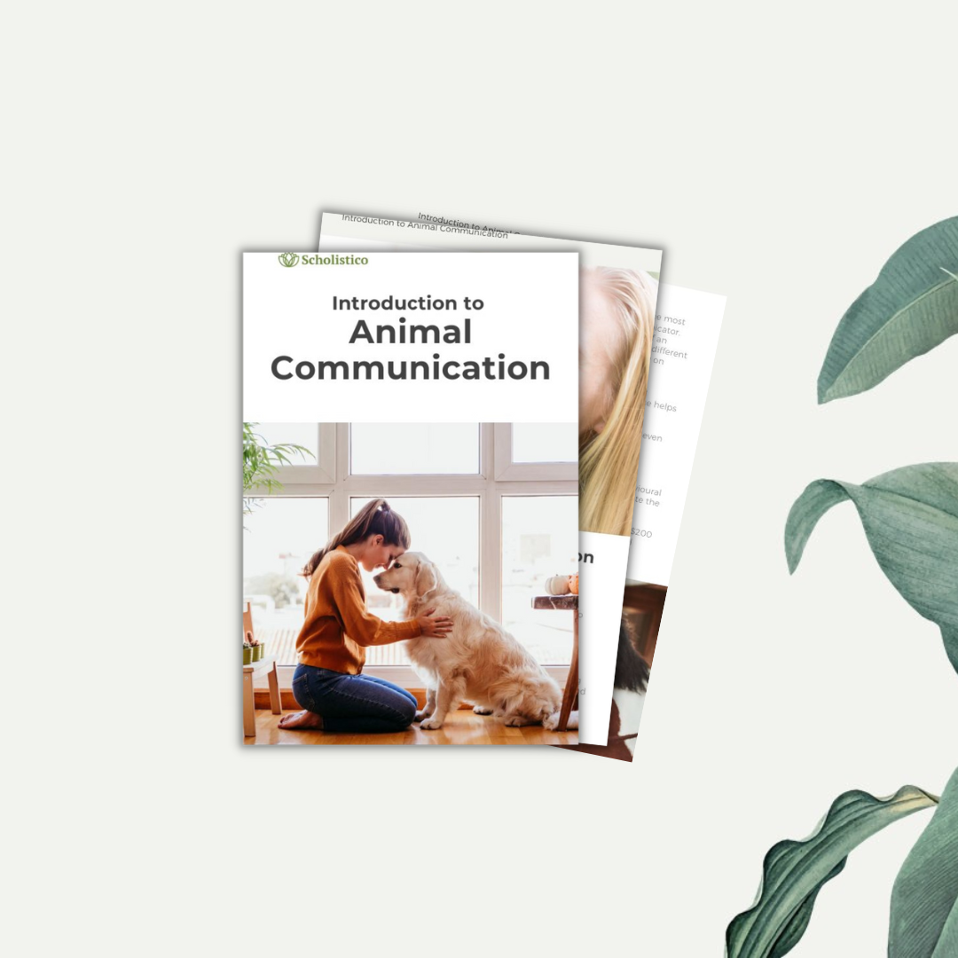 Introduction To Animal Communication - Scholistico