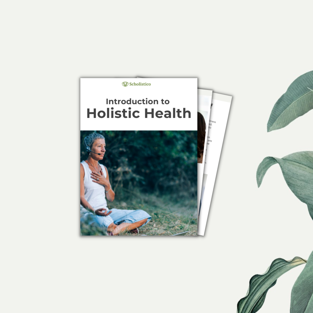 Introduction to Holistic Health - Scholistico