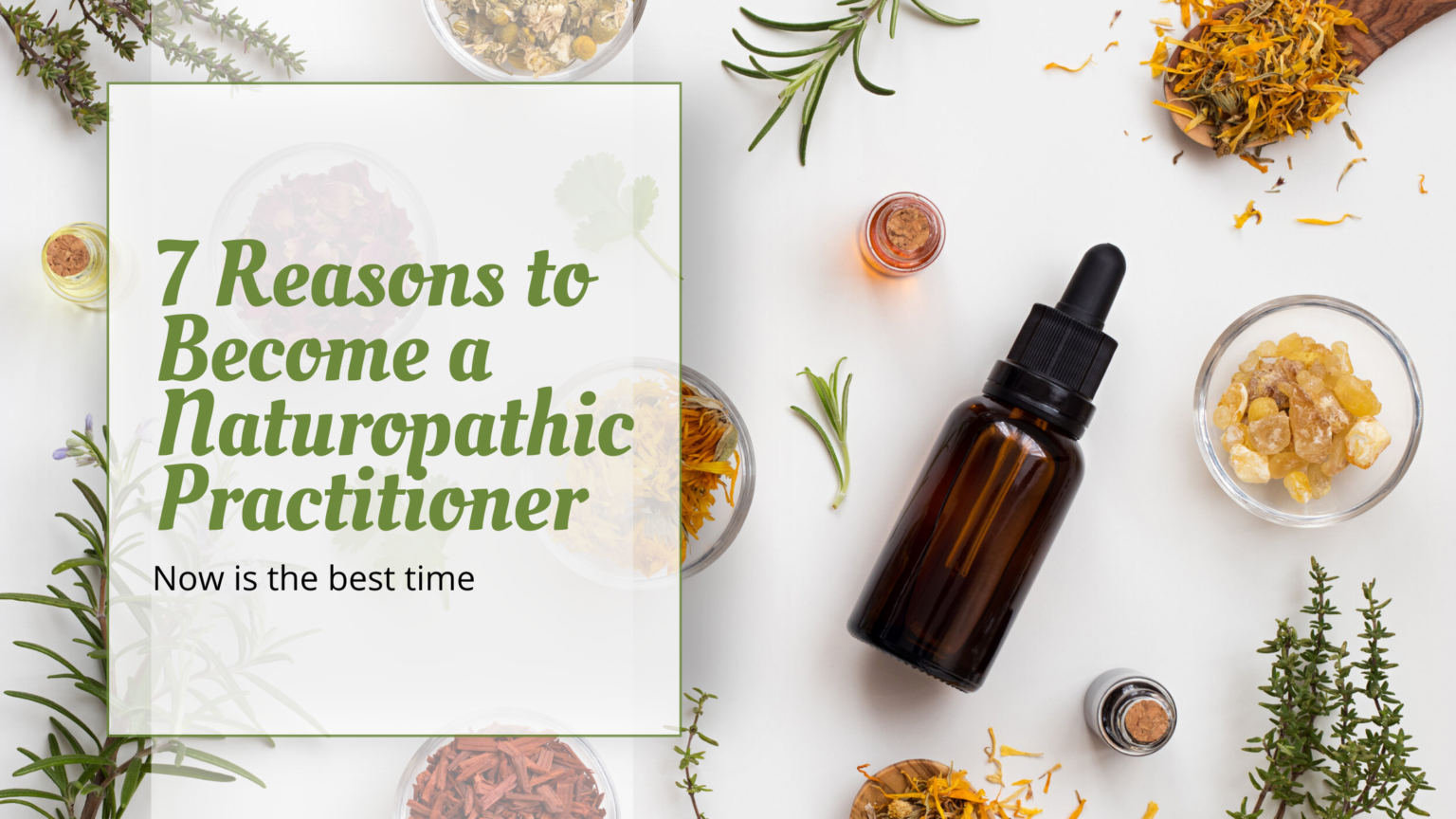 Naturopathic Medicine: A Holistic Approach to Women's Health