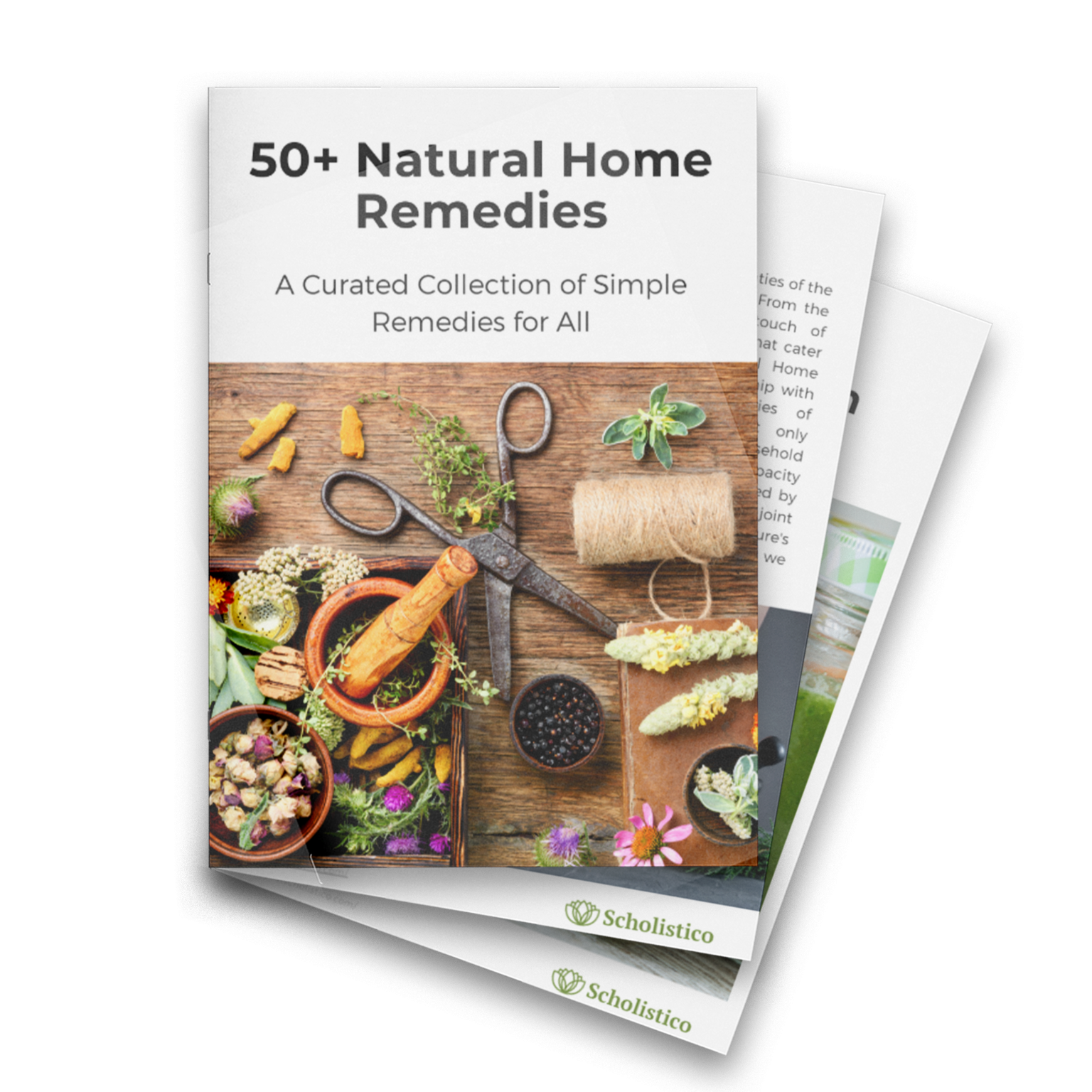 Naturopathy Practitioner Certification Course - Scholistico