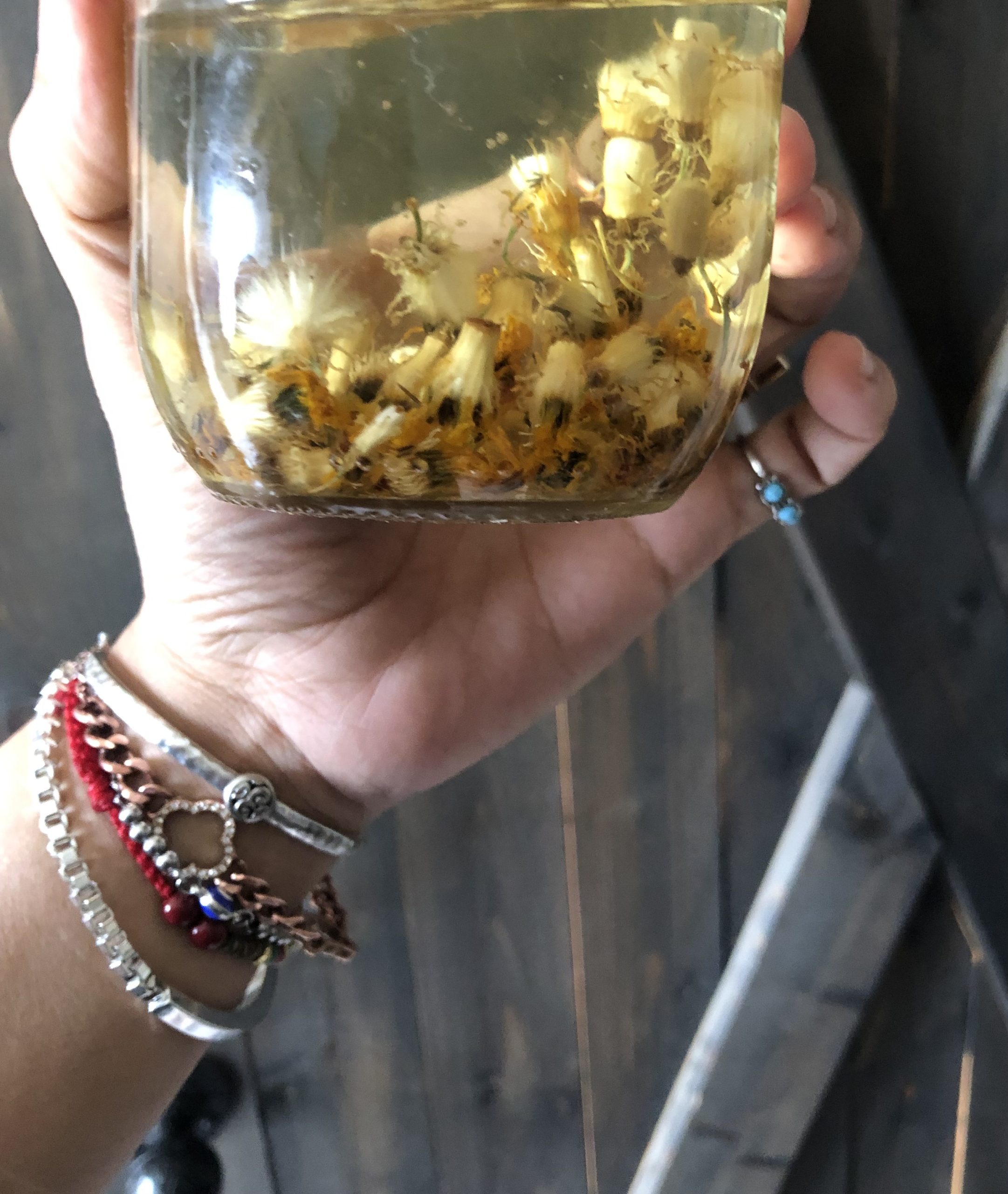 Naturopathy Practitioner Certification - Scholistico