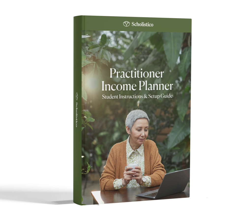 The Practitioner Income Planner - Scholistico